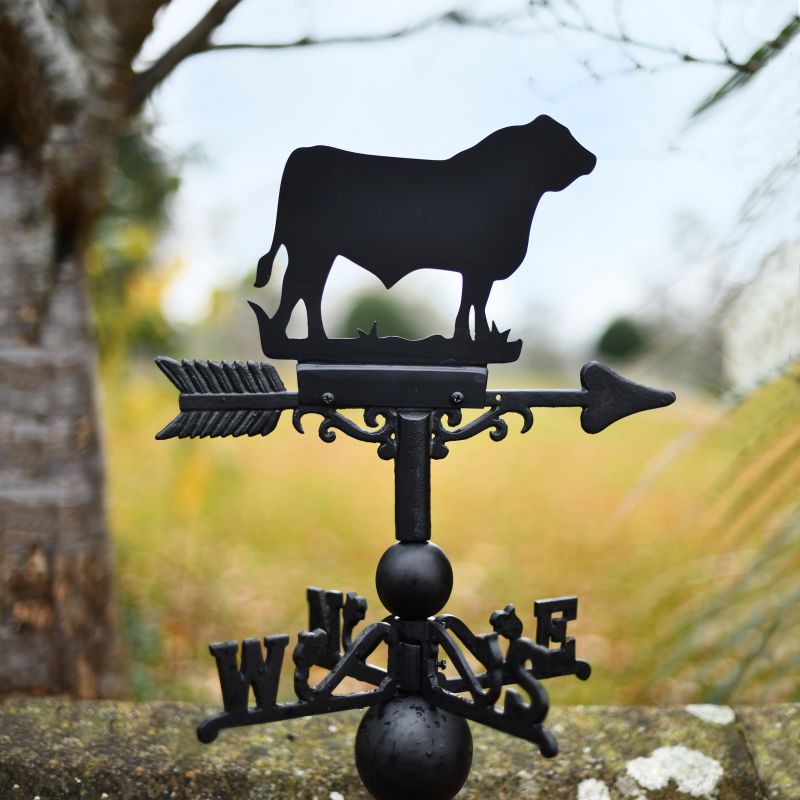 Scottish Thistle Weathervane | Black Country Metalworks