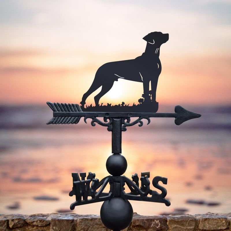 Large "Game Season" Weathervane In Black Cast Iron | Black Country ...