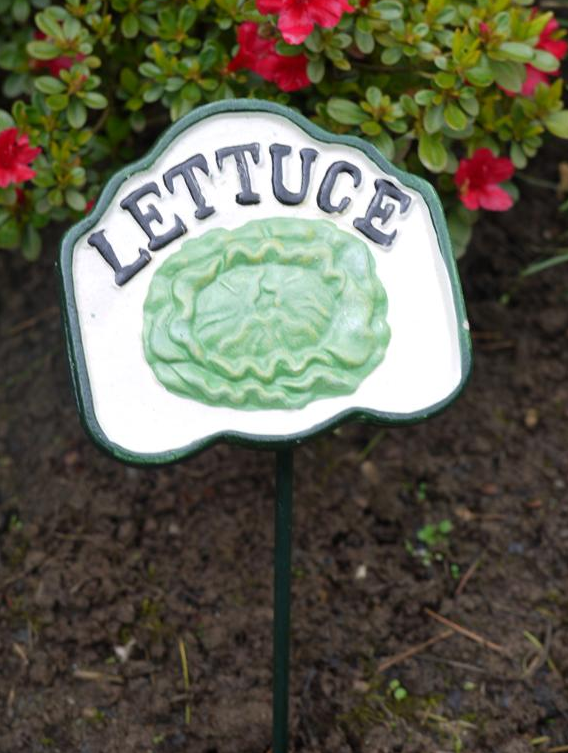 Lettuce Vegetable Garden Sign | Black Country Metalworks