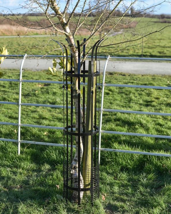 Wrought Iron 'Sandridge' Black Tree Guard | Black Country Metalworks