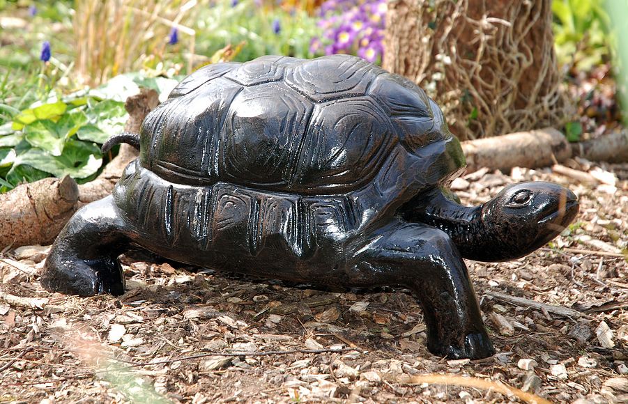Bronze Finish Metal Tortoise Sculpture | Black Country Metalworks